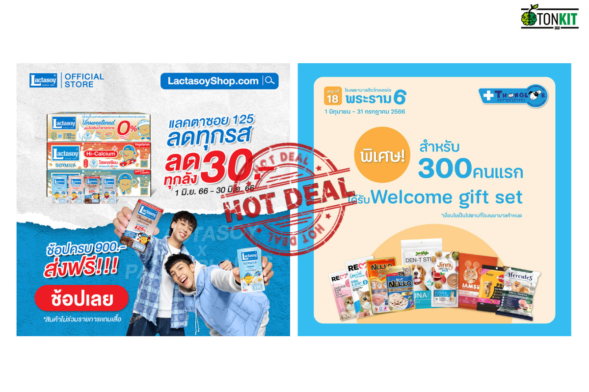 HOT DEAL แลคตาซอย และโรงพยาบาลสัตว์ทองหล่อ - Tonkit360