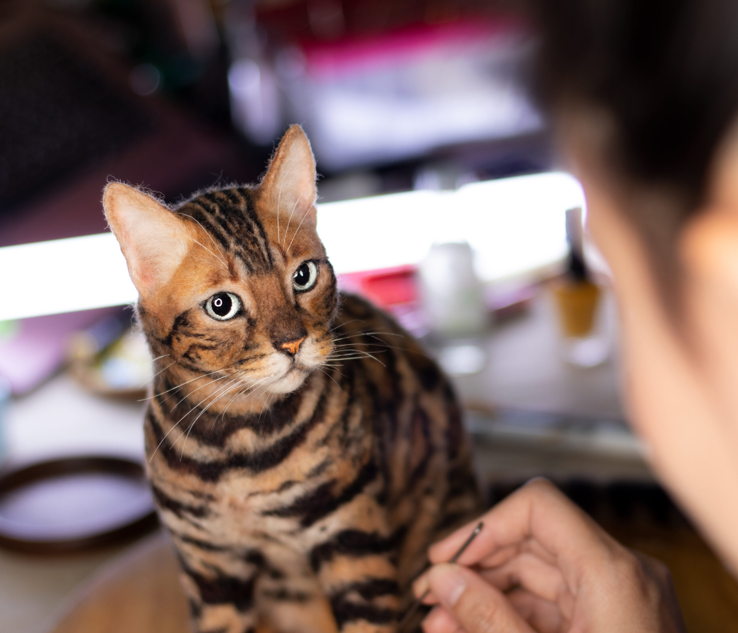 IMG_66712 - Tonkit360