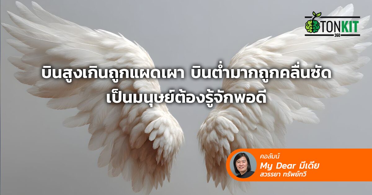 wing_web2 - Tonkit360